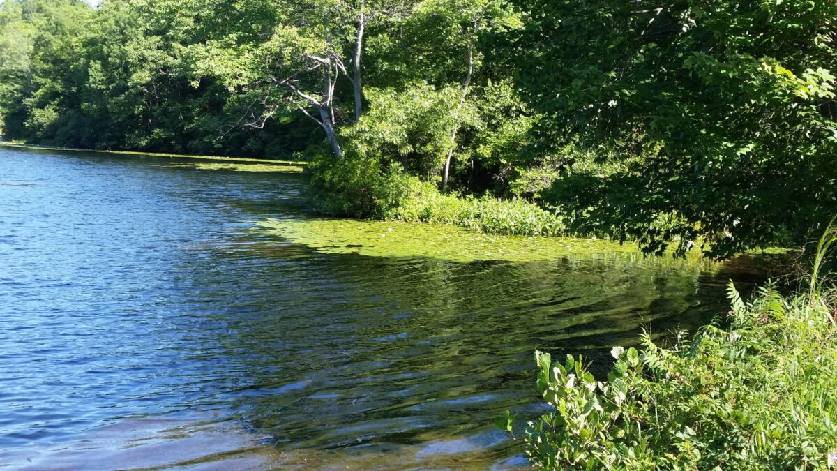 Regina – Flashpoint Publications